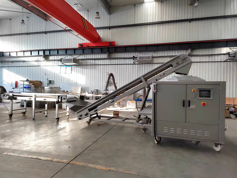 Grape processing equipment: sorting and washing lines